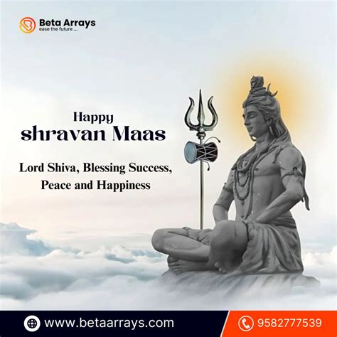 beta arrays noida