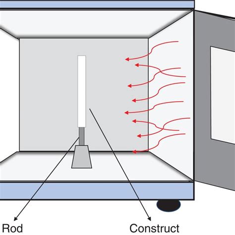 Thermal Treatment Convective Heat Flux Was Applied To The Constructs Download Scientific
