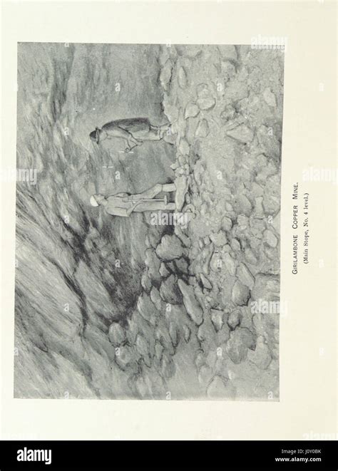 The Copper Mining Industry And The Distribution Of Copper Ores In New South Wales [with