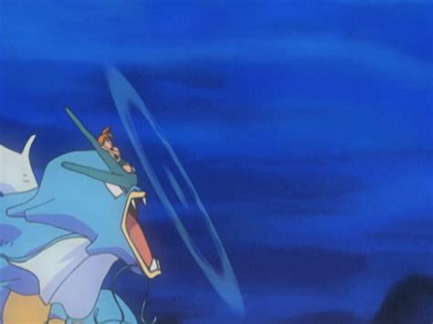 File Misty Gyarados Protect png Bulbapedia the community driven Pokémon encyclopedia