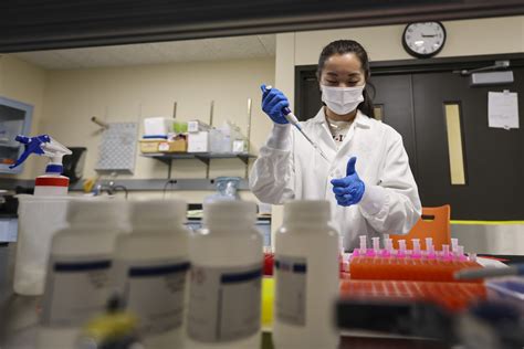 Scientists Using Dna To Track Invasive Species Duluth News Tribune