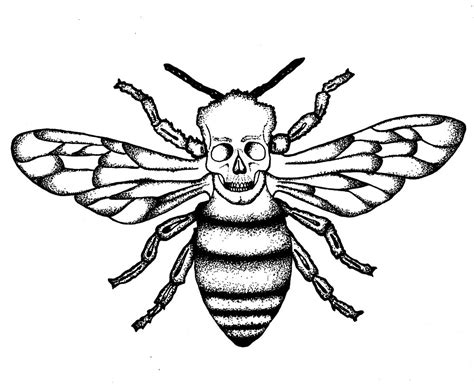 Killer Bee Drawing At Explore Collection Of Killer