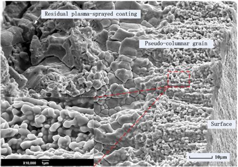 Cross Section Of Pseudo Columnar Grain In Lr D Sample Download