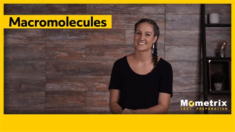 Structures Functions And Sources Of Macromolecules Video