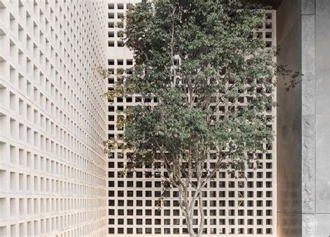 Terracotta Tile Screen Wall Reinterprets Classical Garden Layout