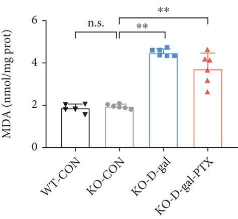 Effects Of Ptx Administration On Oxidative Balance Status In The