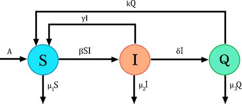 The Transfer Diagram For The Deterministic Siqs Epidemic Model 1