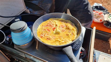 Nuwave Induction Cooker Review Unsealed 4x4