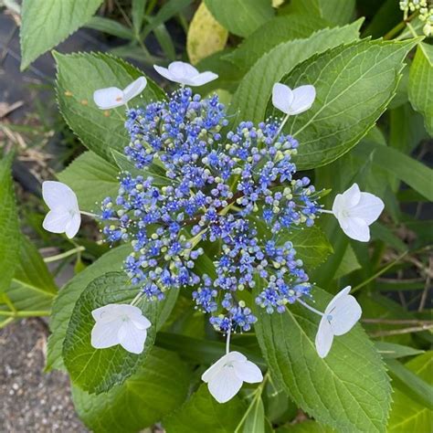 và hết lòng với nghề nhân sự tôi đã quá chủ quan và xem thường chính bằng cấp tôi học tôi đã