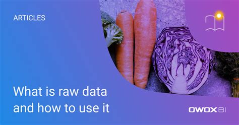 What Is Raw Data And How To Use It In 2024