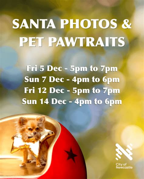 Muswellbrook Bypass Fast Tracked And New Cessnock Bypass Plans Newy