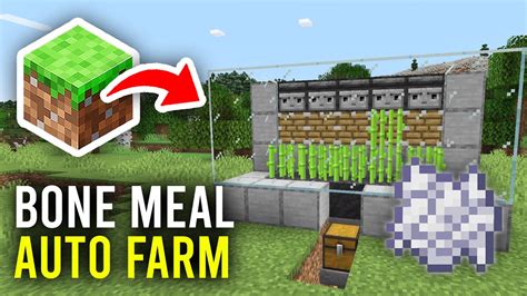 How To Make Automatic Bone Meal Farm In Minecraft Full Guide Youtube