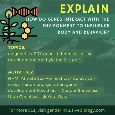 Infographics Pd Media — Gender Inclusive Biology
