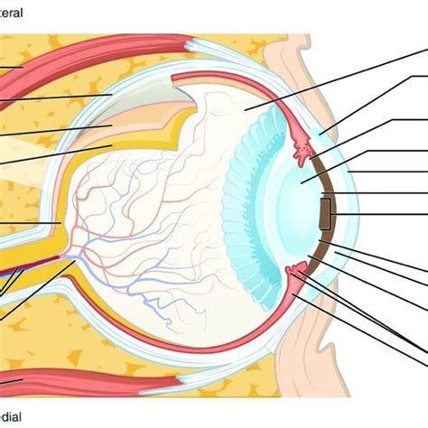 Optical Schema Of Grating Based Martinez Type Pulse Stretcher