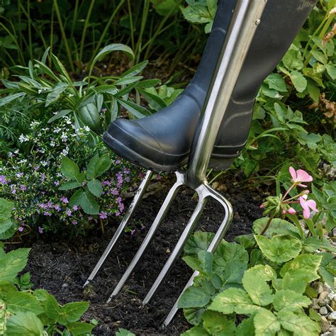 Buy Garden Border Fork — The Worm That Turned Revitalising Your