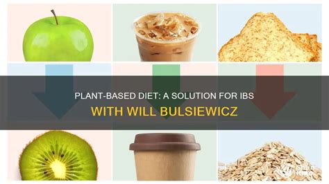 Plant Based Diet A Solution For Ibs With Will Bulsiewicz Shunketo
