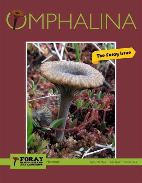 Pdf Omphalina Newsletter