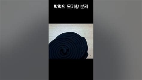 모기향 쉽게 분리하는 법 알아보자 Youtube