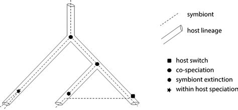 Co Evolution And Co Speciation Of Host Gut Bacteria Systems Cell Host