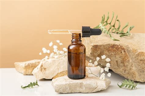 밝은 갈색 베이지 색 배경에 돌에 점적기가있는 어두운 유리 화장품 병을 열고 흰 꽃이있는 석고 필라 가지를 엽니 다 천연 유기농 스파 안티 에이지 화장품 개념 공간을