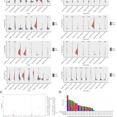 The Expression Levels Of Icos In Different Types Of Human Cancers A