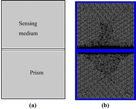 Structural View Of The Proposed Spr Biosensor In Comsol Multiphysics A Download Scientific