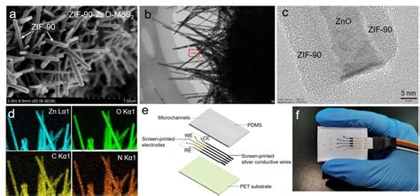 材料基因研究院青年教师张源在国际著名期刊《nano Letters》上发表封面论文 上海大学新闻网