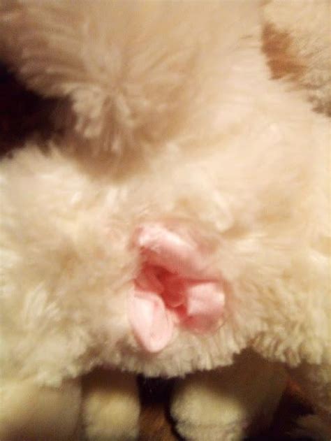 First Modifed Plush Rplushophile