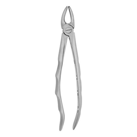 Efficient Extraction Fig 7 Forceps For Upper Premolar Procedures
