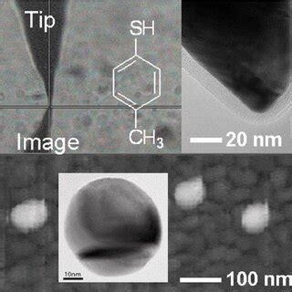 Color Online A Optical Image Of The STM Tip On The Silicon Download Scientific Diagram