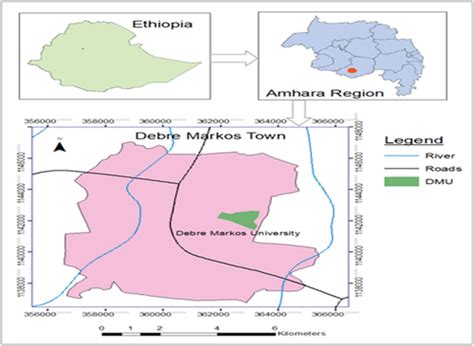 Full Article Dry Matter Yield Of Desho Grass Pennisetum Pedicellatum