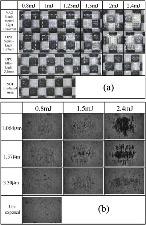 A Photograph Showing The Distribution Of Adhesive Bond Glue On Top Download Scientific