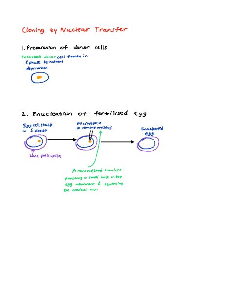 Cloning By Nuclear Transfer Cloning By Nuclear Transfer Preparation