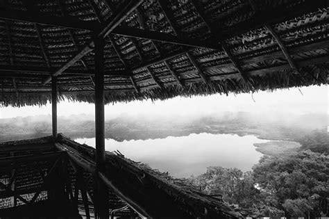 Seven Palm Weaved Roofs Compose Napo Wildlife Center Tower In Ecuador