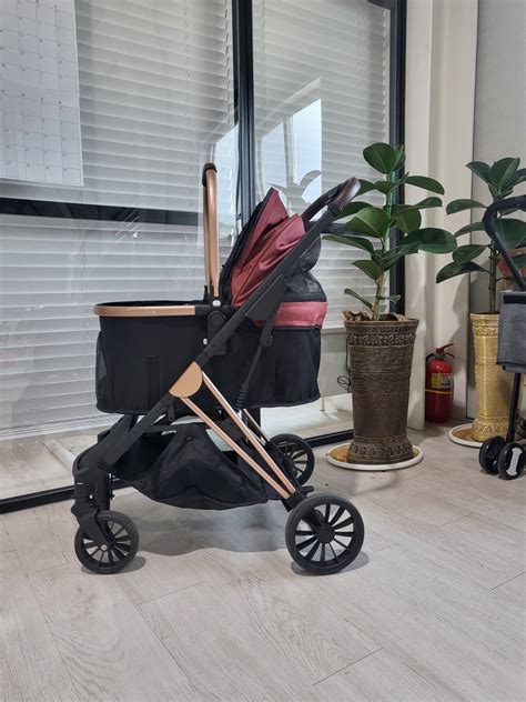 알바구합니다 왕손 피자 별내동 당근 알바