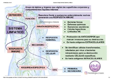 Mapa Mental Sistema Linfático Pdf