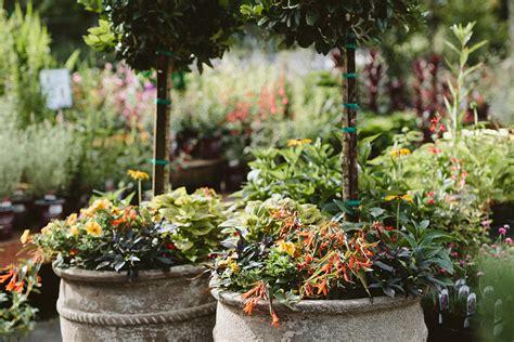 Creative Spring Container Gardens Tips For Beautiful Outdoor Spaces
