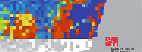 Search Sib Swiss Institute Of Bioinformatics