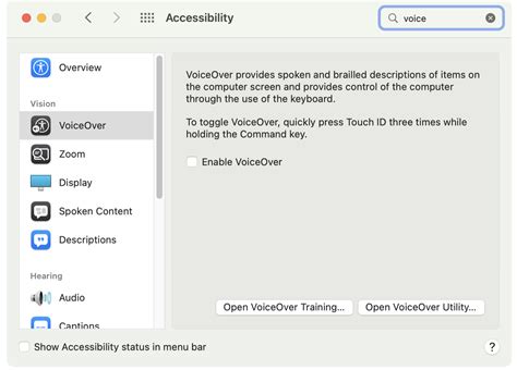 How To Use Voiceover For Accessibility Testing