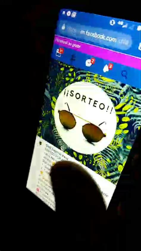 Chill Squirrel Perú Home Facebook