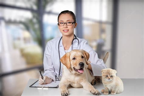Veterinario Examinando Perros Y Gatos Cachorro Y Gatito En El Médico
