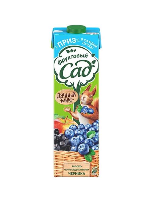 Сок Фруктовый сад Дачный микс Яблоко Черноплодная рябина Черника 0 95л пакет