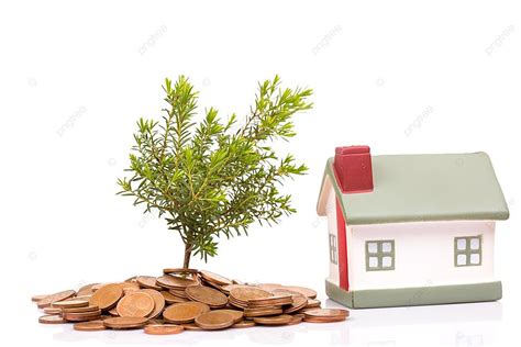 동전 나무 동전 돈 식물 사진 배경 및 무료 다운로드를위한 그림 Pngtree