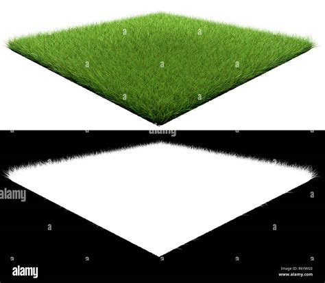 3d Rendering Of A Grass Patch Isolated On White For Architecture Design
