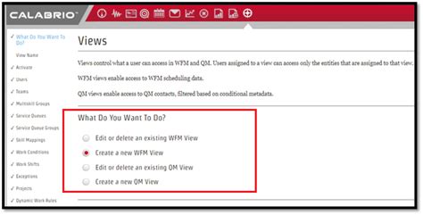 Calabrio Setting The View For Users