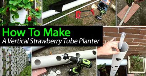How To Make A Vertical Strawberry Planter Using Pvc At Leroy Sam Blog