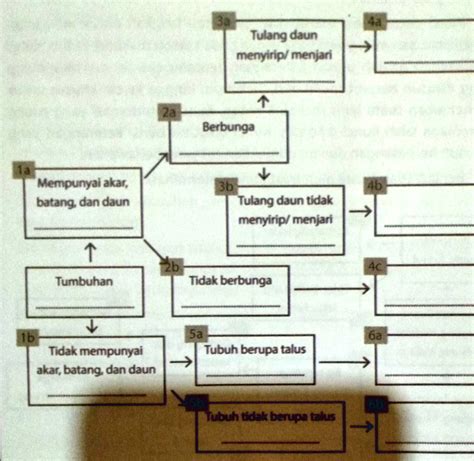 Lengkapilah Diagram Di Bawah Ini Dengan Jenis Tumb Hot Sex Picture My