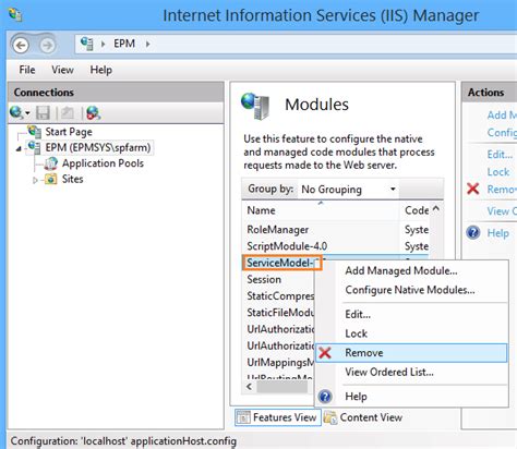 solving could not load type rvicemodel activation module