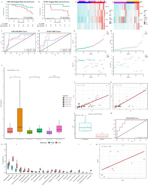 Verification Of Prognostic Performance And Biological Function Of Download Scientific Diagram