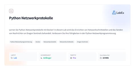 Python Netzwerkprotokolle Labex